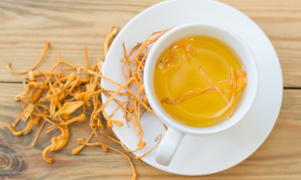 Cordyceps militaris (Keedajadi) Mushroom Benefits: A Comprehensive ...